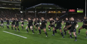rugby haka gif – Sporting Tours